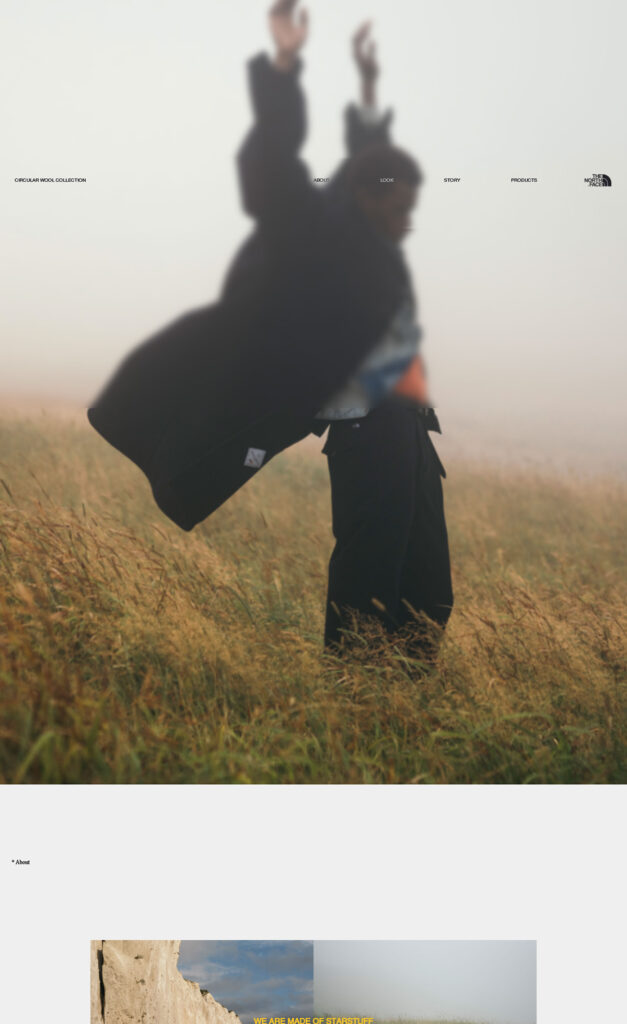 THE NORTH FACE – CIRCULAR WOOL COLLECTION | Web Design Clip [L] LP ...